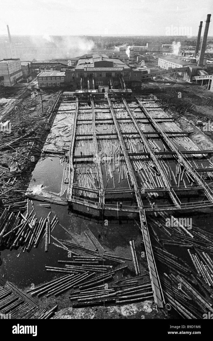 The wood yard of a timber conversion plant Stock Photo - Alamy