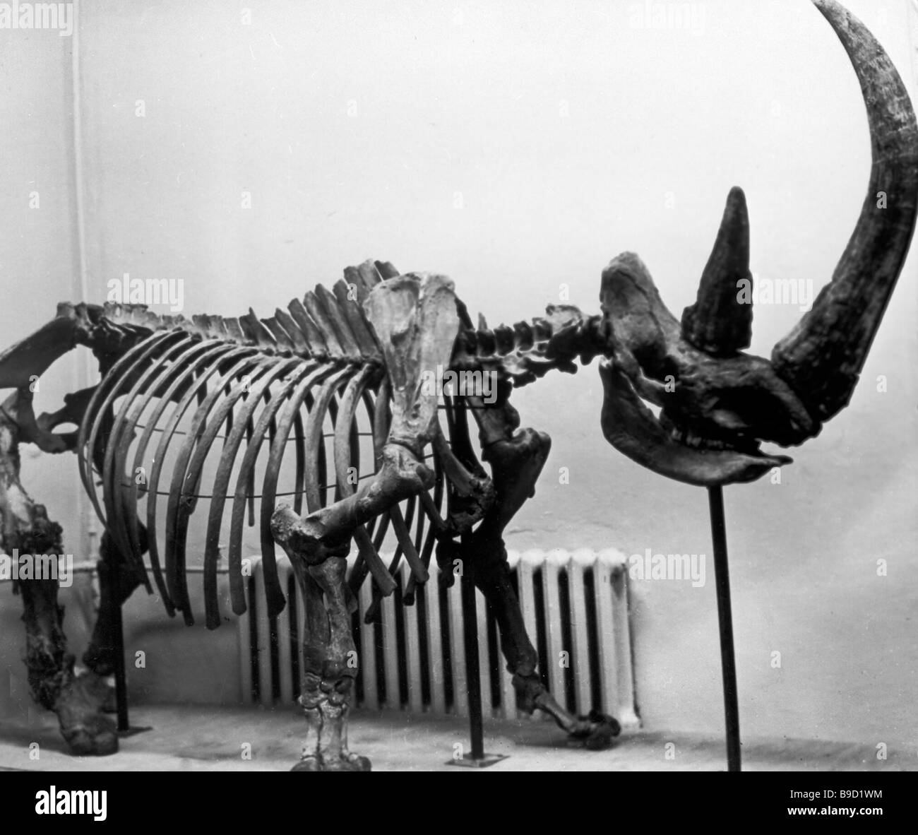 Fully Preserved High Resolution Stock Photography and Images - Alamy