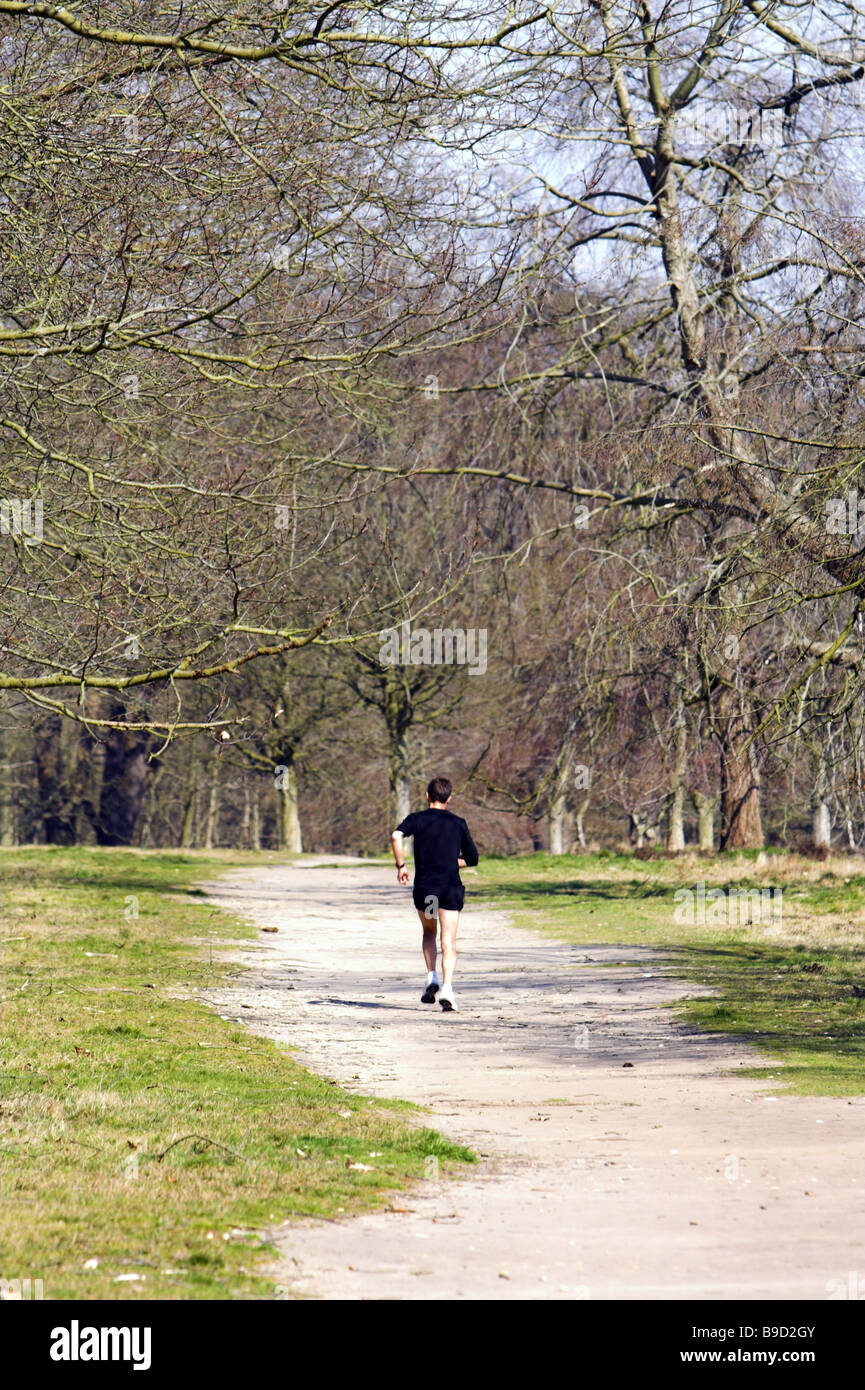 A lone man jogging along a wooded trail Stock Photo - Alamy