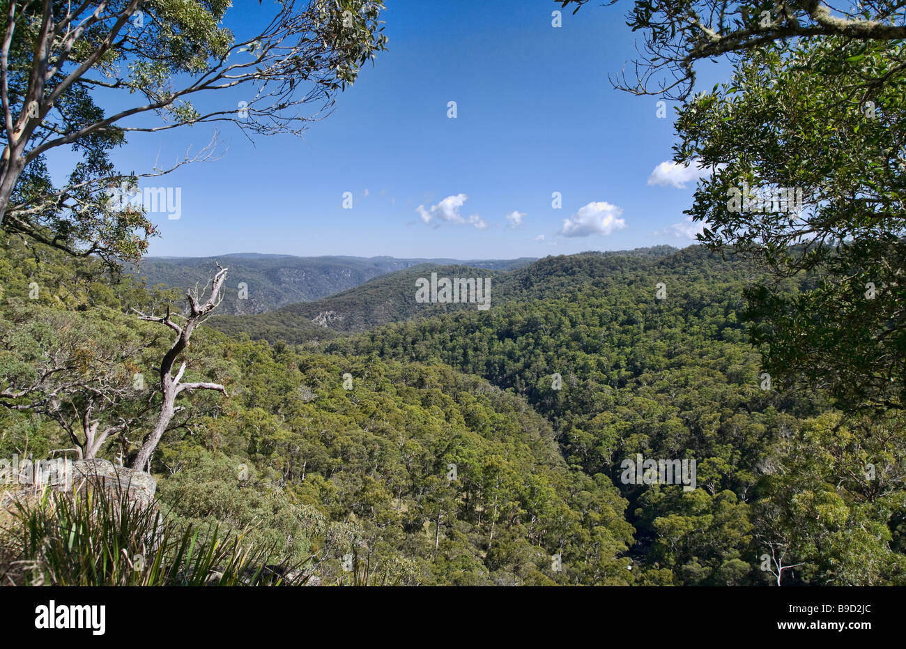 great image looking out over the forests Stock Photo - Alamy