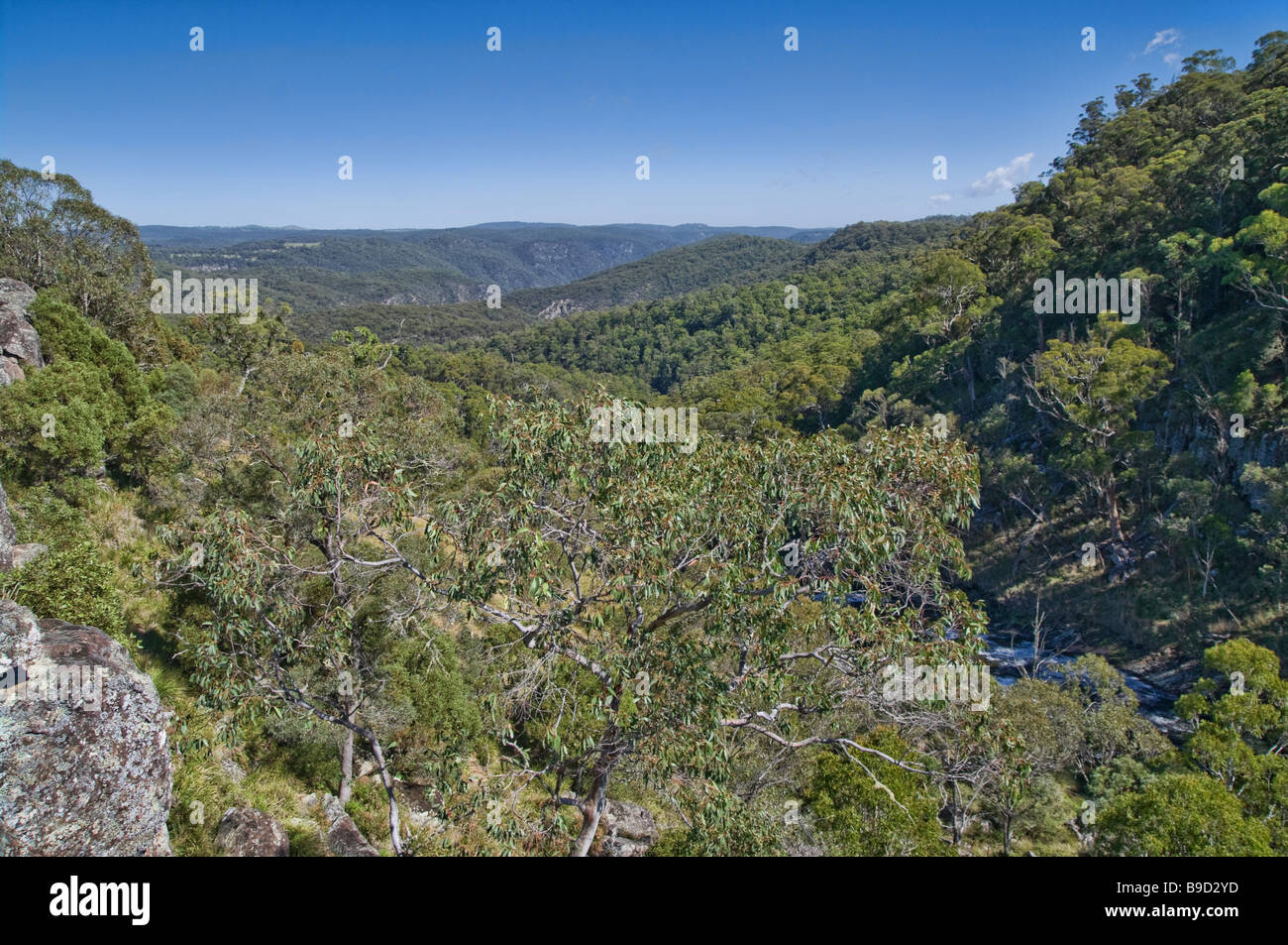 great image looking out over the forests Stock Photo - Alamy