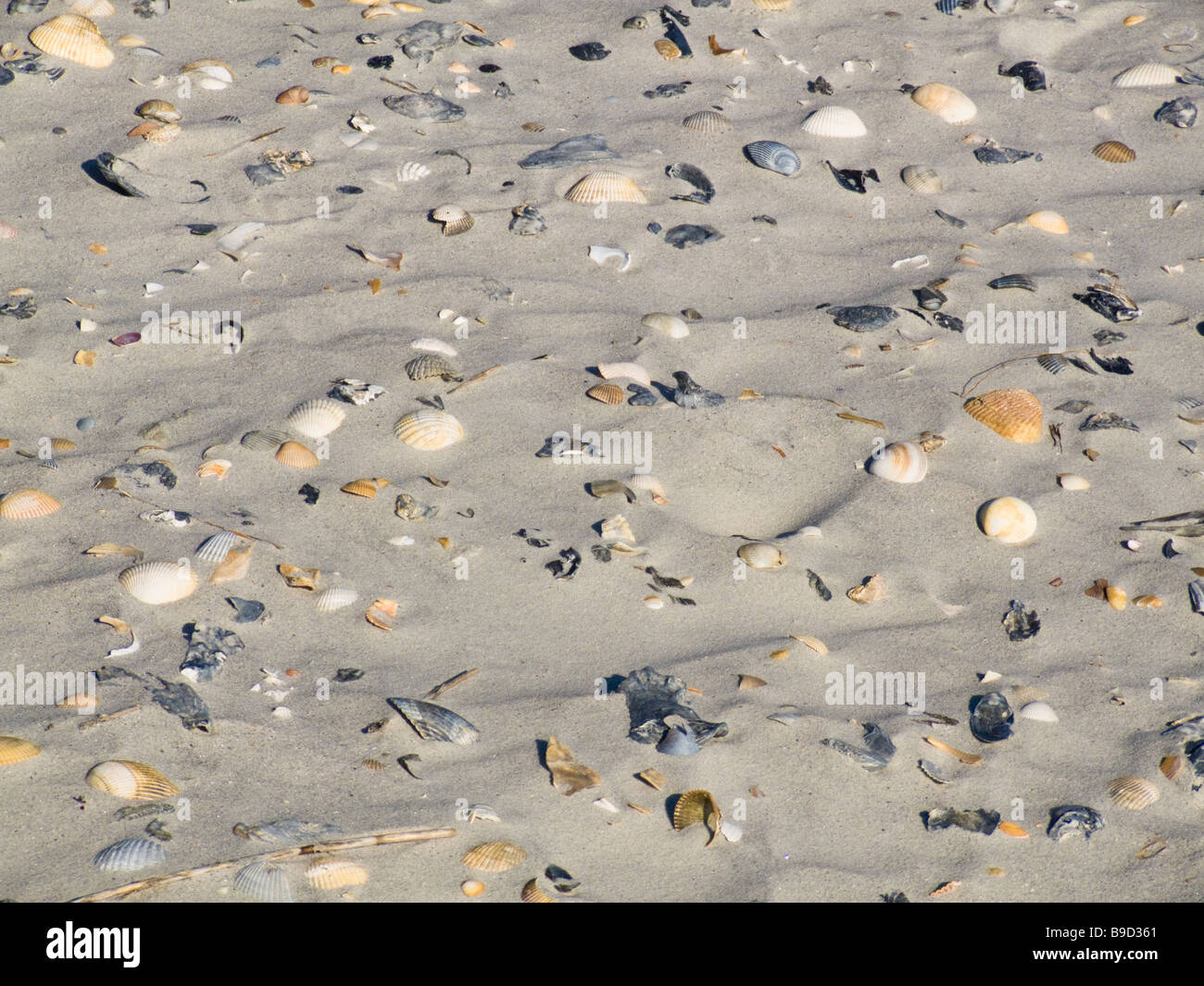 Amelia beach hi-res stock photography and images - Alamy