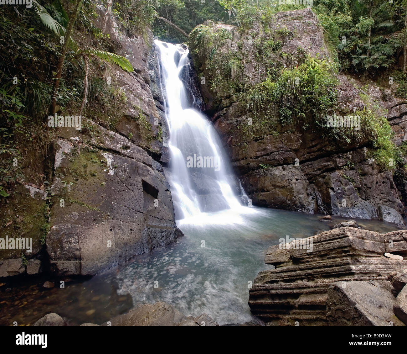 La Mina Waterfall in El Yunque Rainforest Puerto Rico Stock Photo - Alamy
