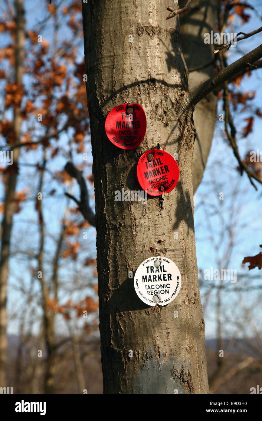 Hiking trail markers posted on a tree, near Cold Spring, NY, USA Stock ...