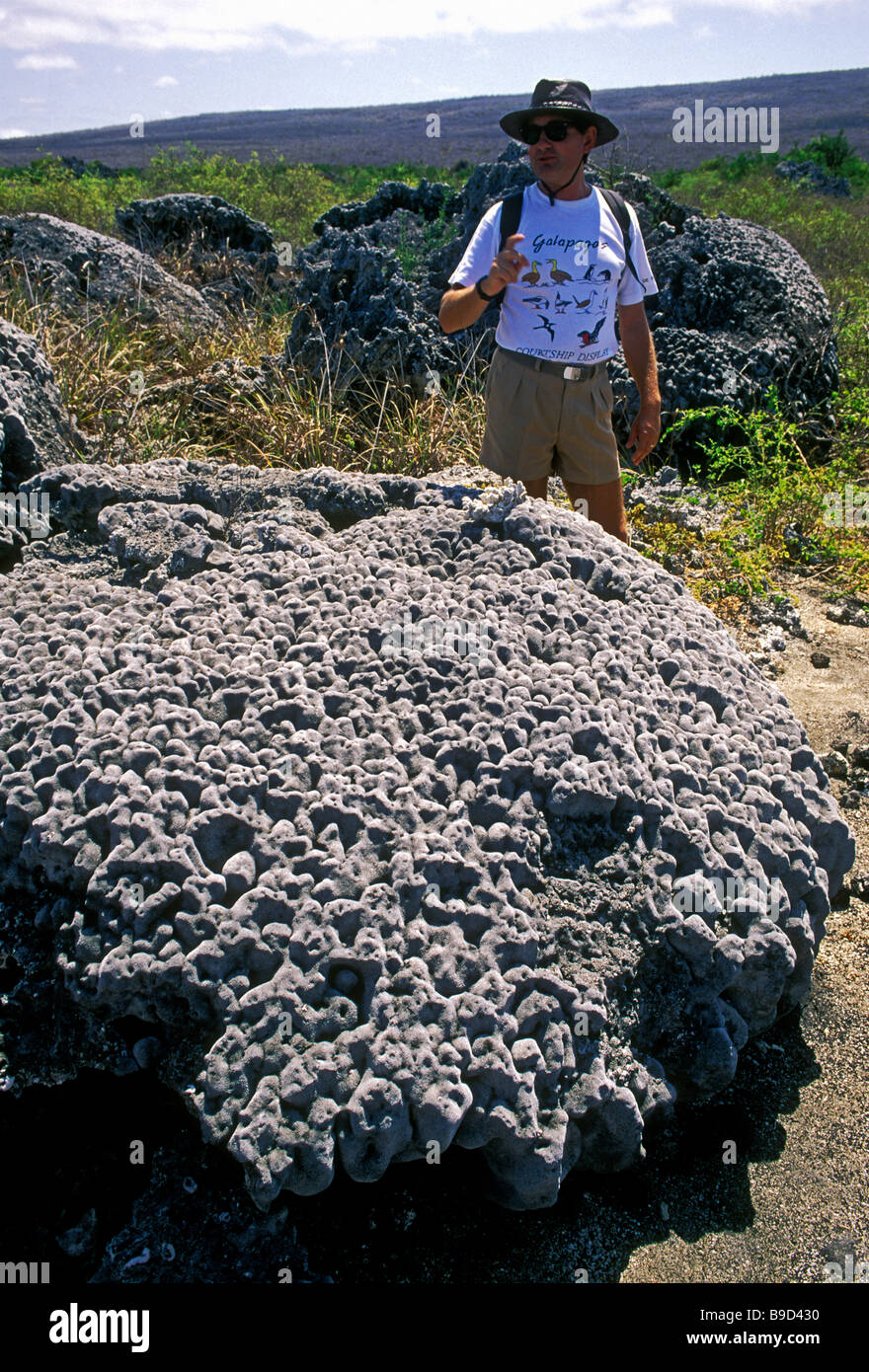 Naturalis High Resolution Stock Photography and Images - Alamy