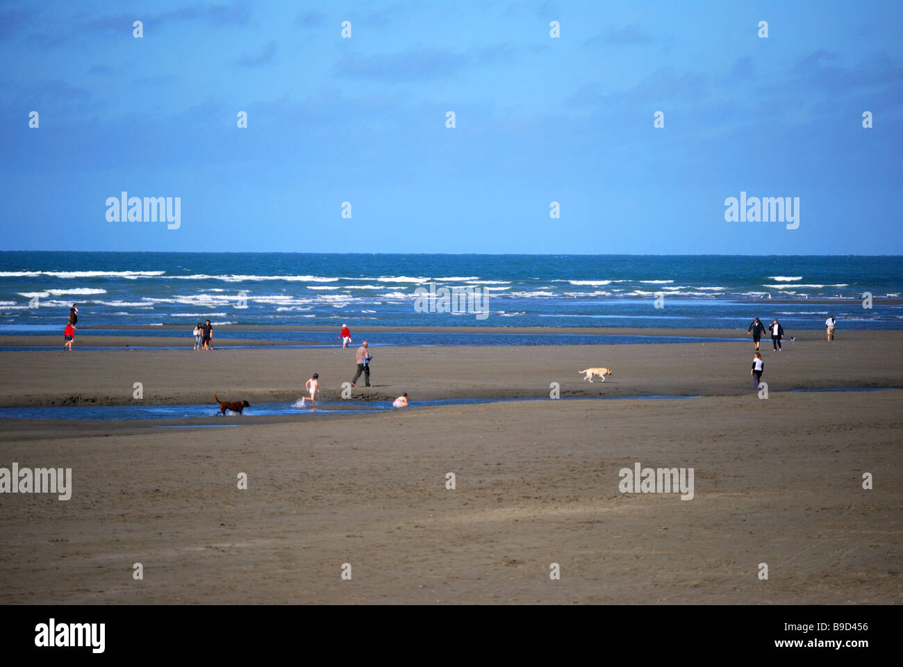 Sumner Beach, Sumner, Christchurch (Ōtautahi), Canterbury Region, South ...