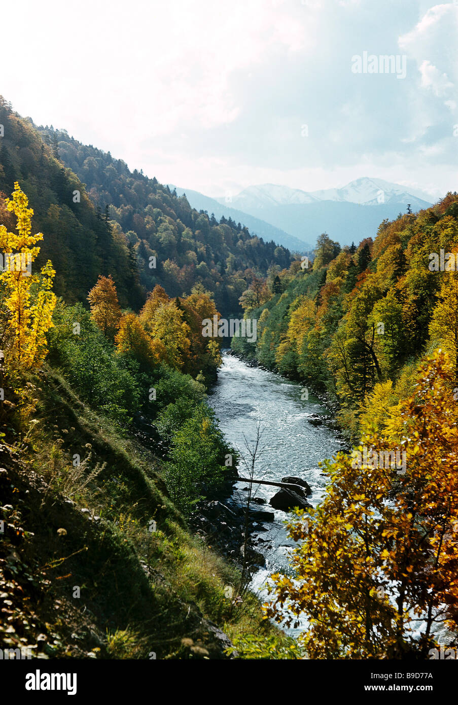 Caucasian natural biospheric reserve is located in the Western Caucasus ...