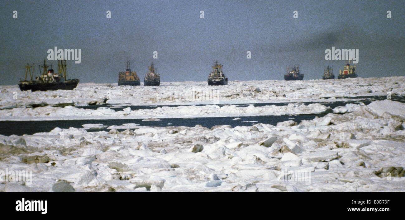 An armada of sea vessels Stock Photo - Alamy