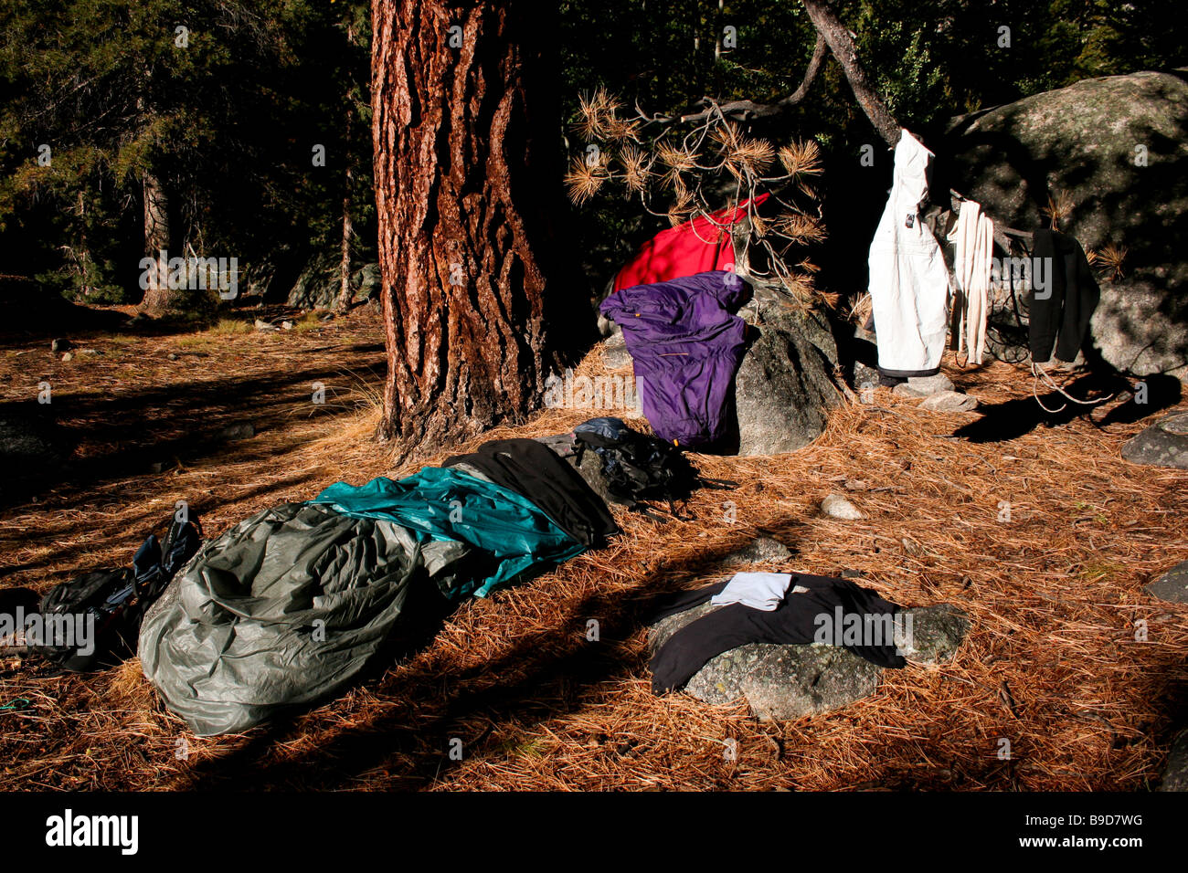 Day 4 All our stuff drying Stock Photo - Alamy