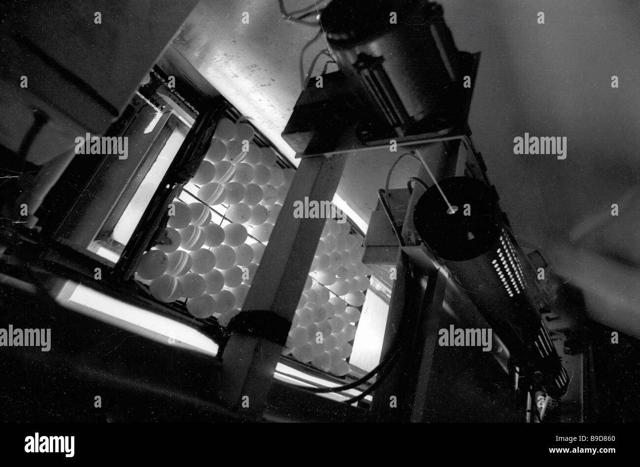 Handling eggs in a laser electron ion machine before placing them in ...