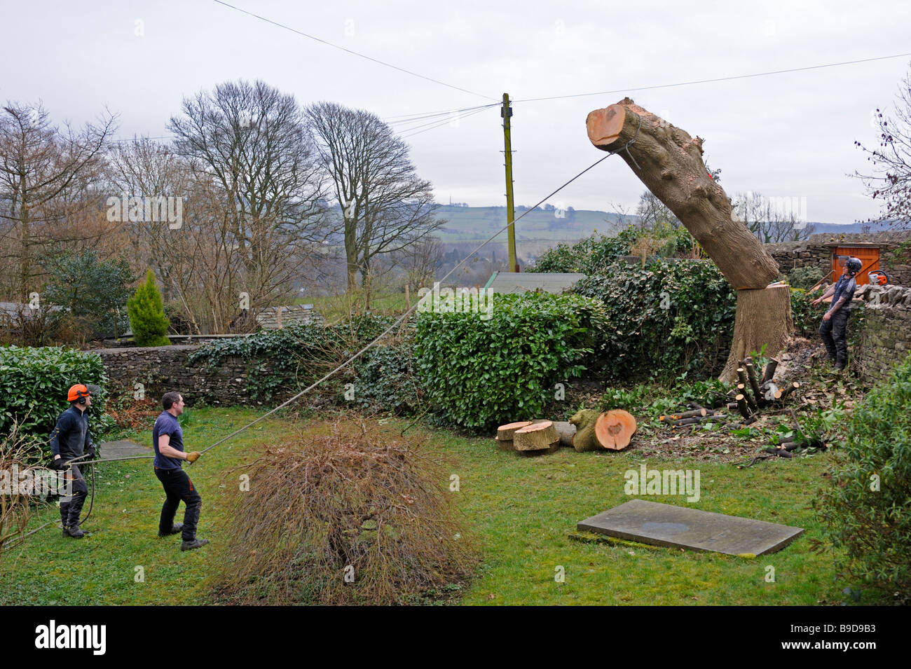 Tree surgeons hi-res stock photography and images - Alamy