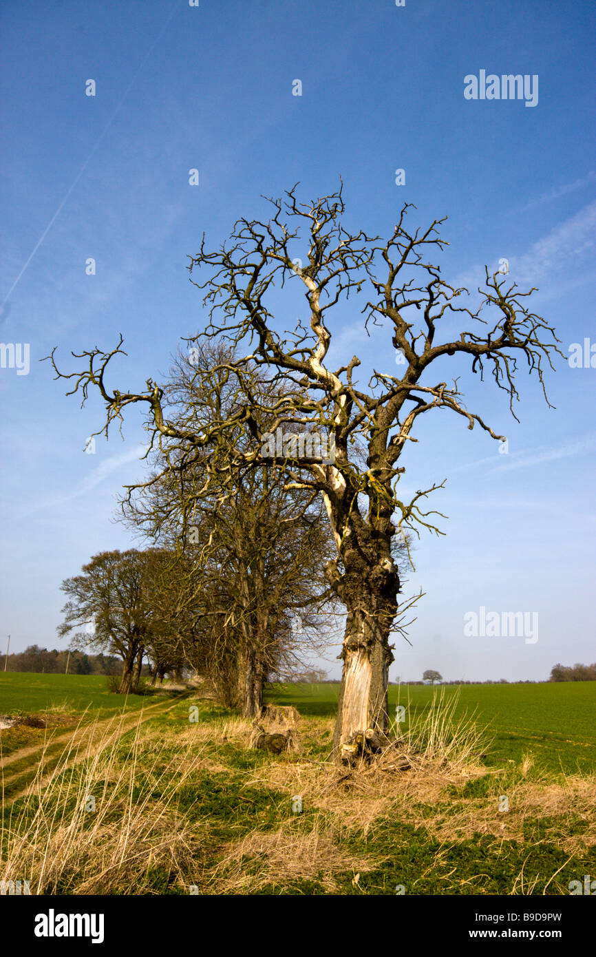 Whitwell hertfordshire hi-res stock photography and images - Alamy