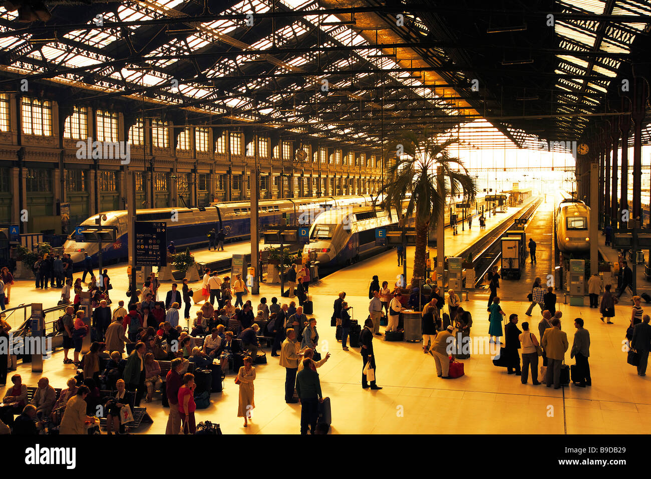 GARE DE LYON RAILWAY STATION PARIS Stock Photo - Alamy