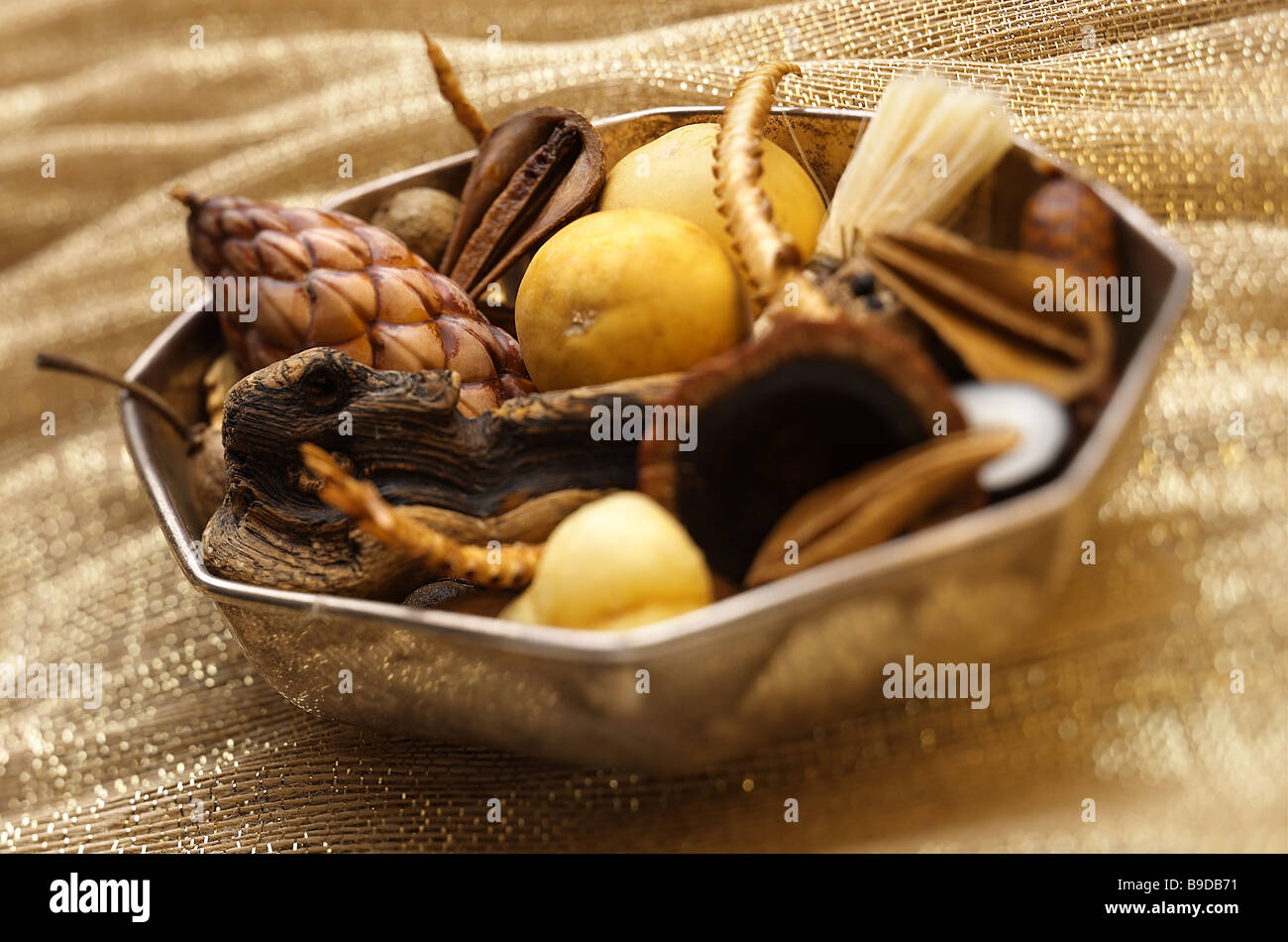 Purry hi-res stock photography and images - Alamy