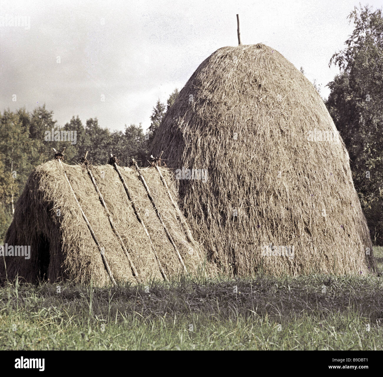A memorial museum monument Hut of Vladimir Lenin at Razliv station ...