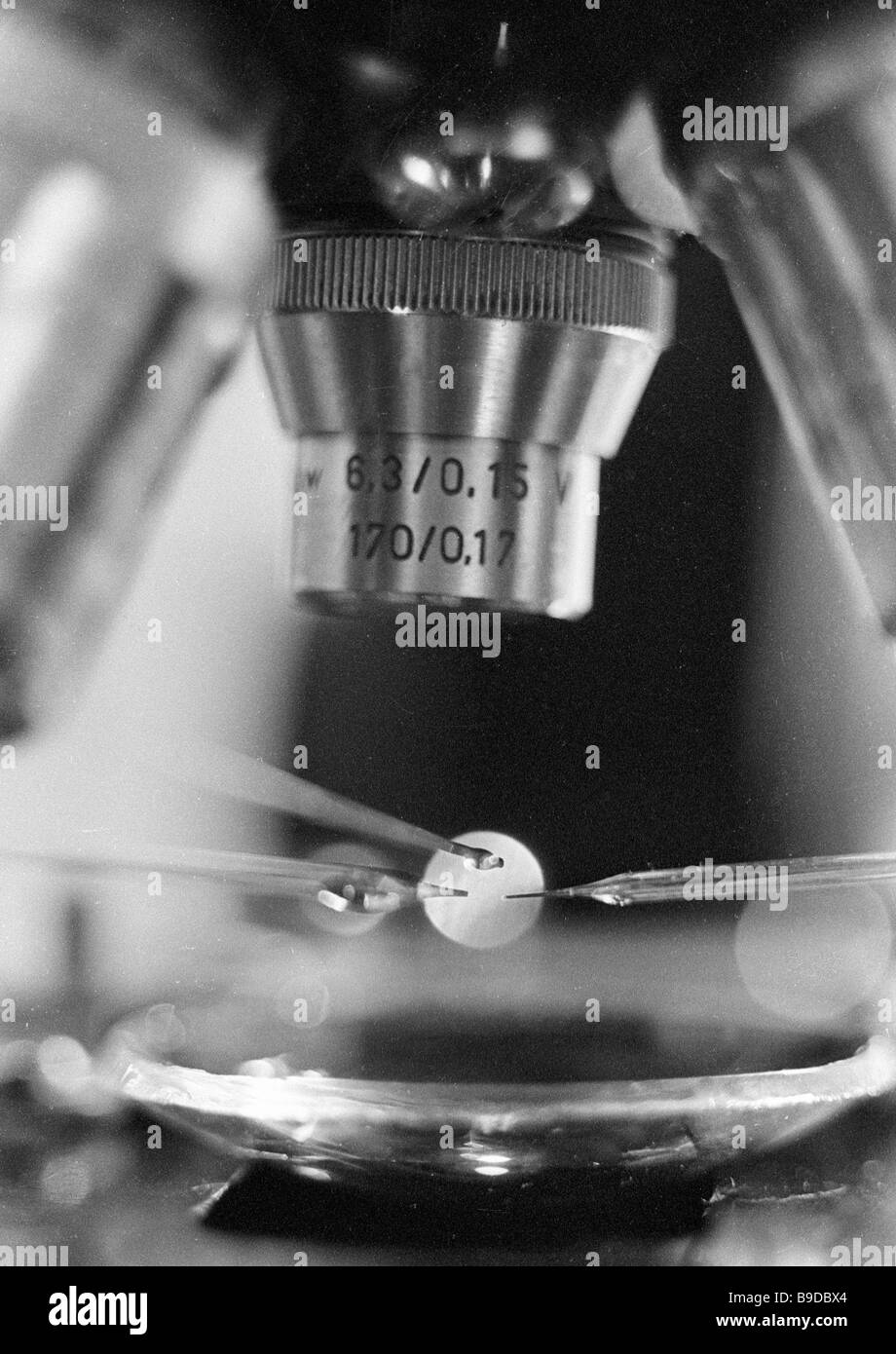 Operable cell inside round drop under microscope All Union Live Stock ...