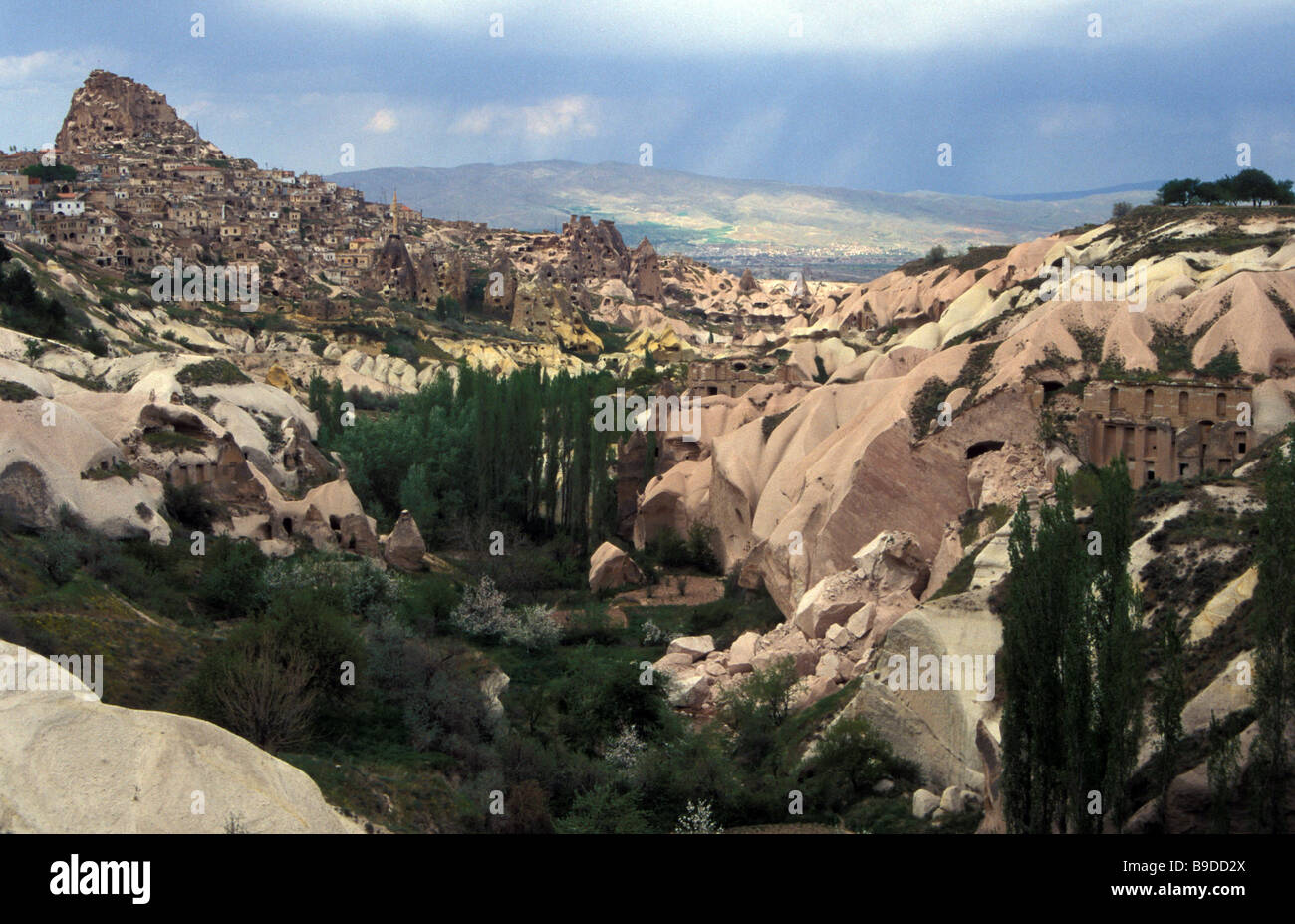 Uchisa hi-res stock photography and images - Alamy