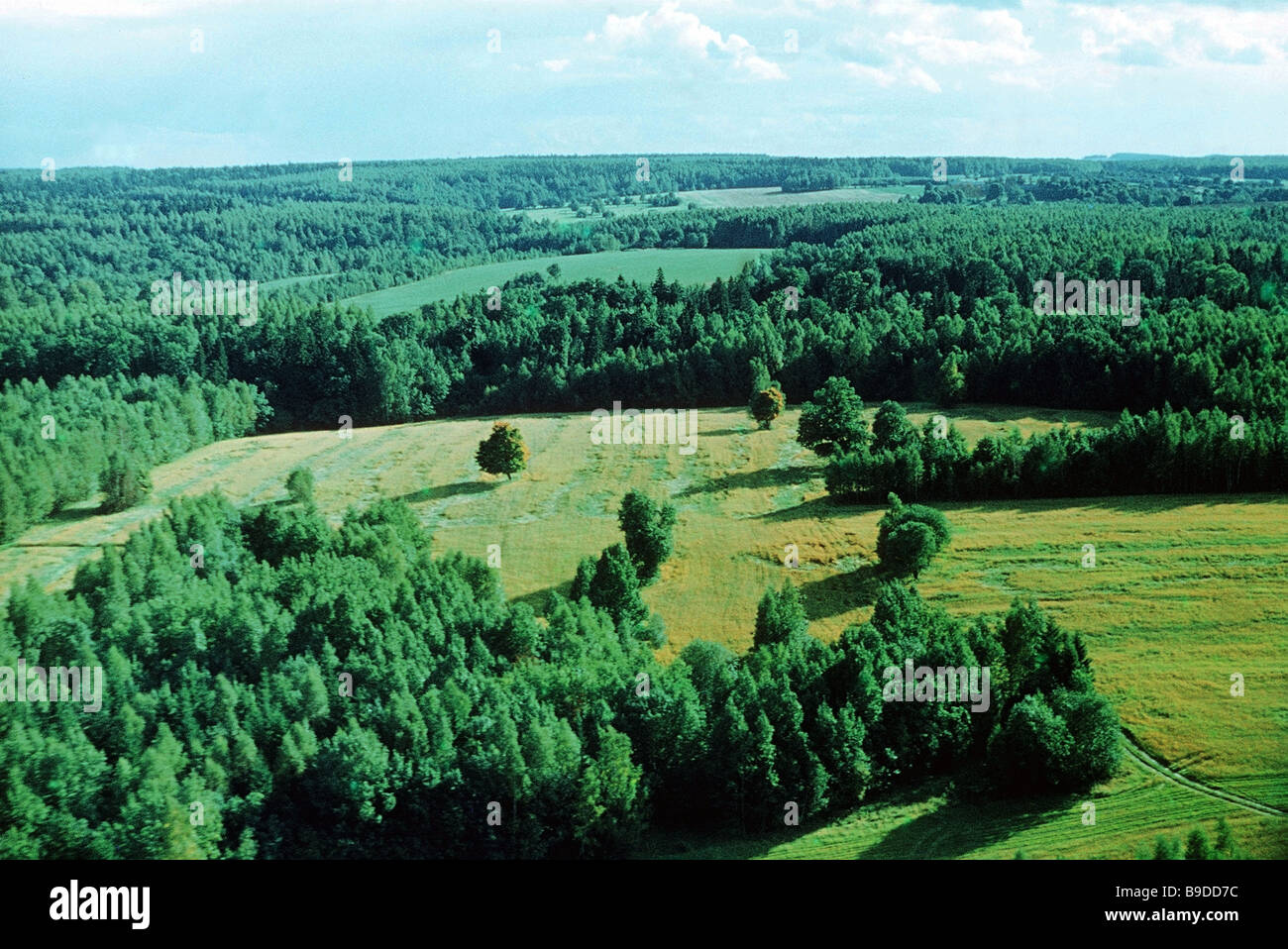 Polesye Region in Belarus Stock Photo - Alamy
