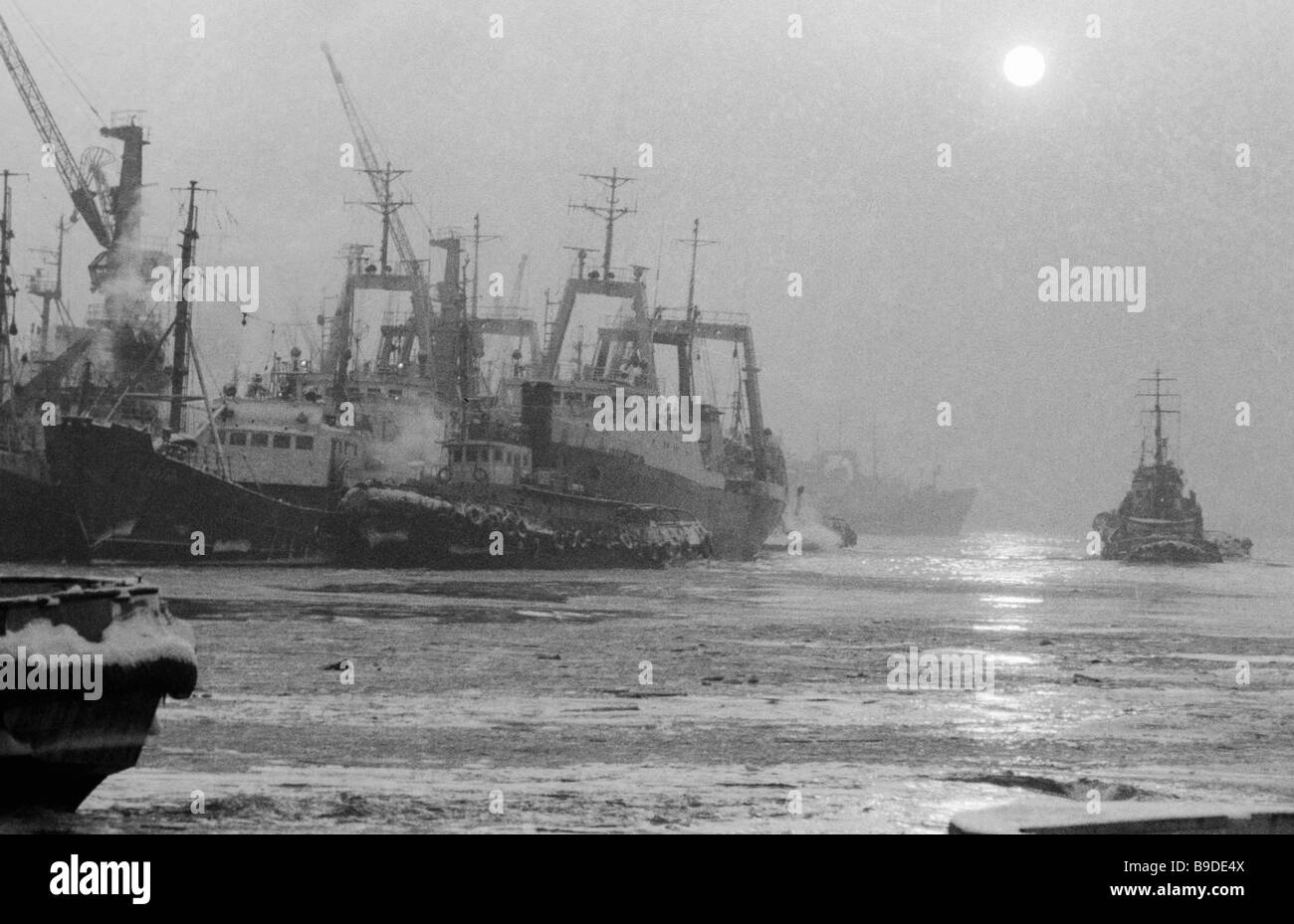 Ships at the Murmansk fishing port Stock Photo - Alamy