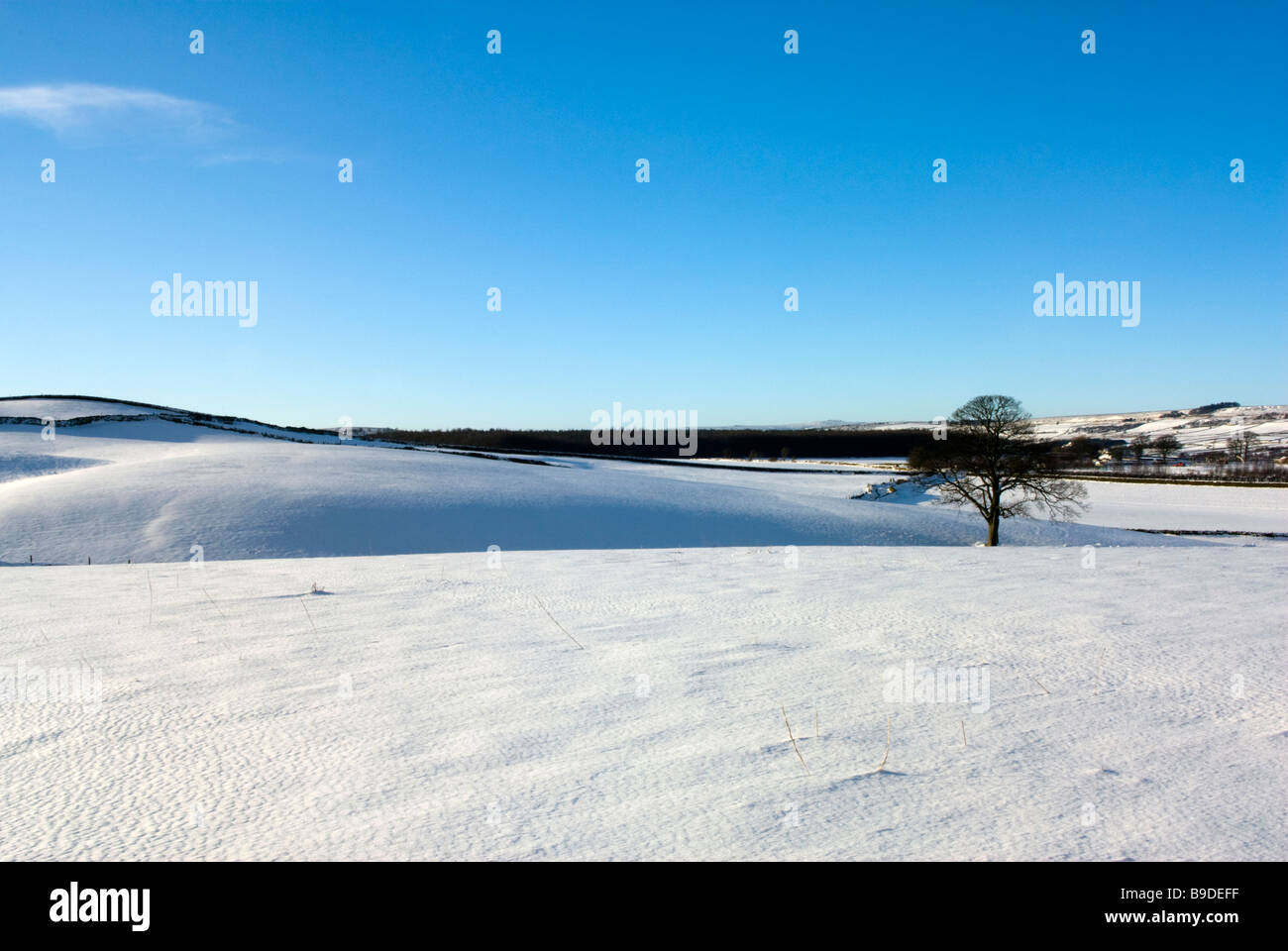 Mayfield Valley High Resolution Stock Photography and Images - Alamy