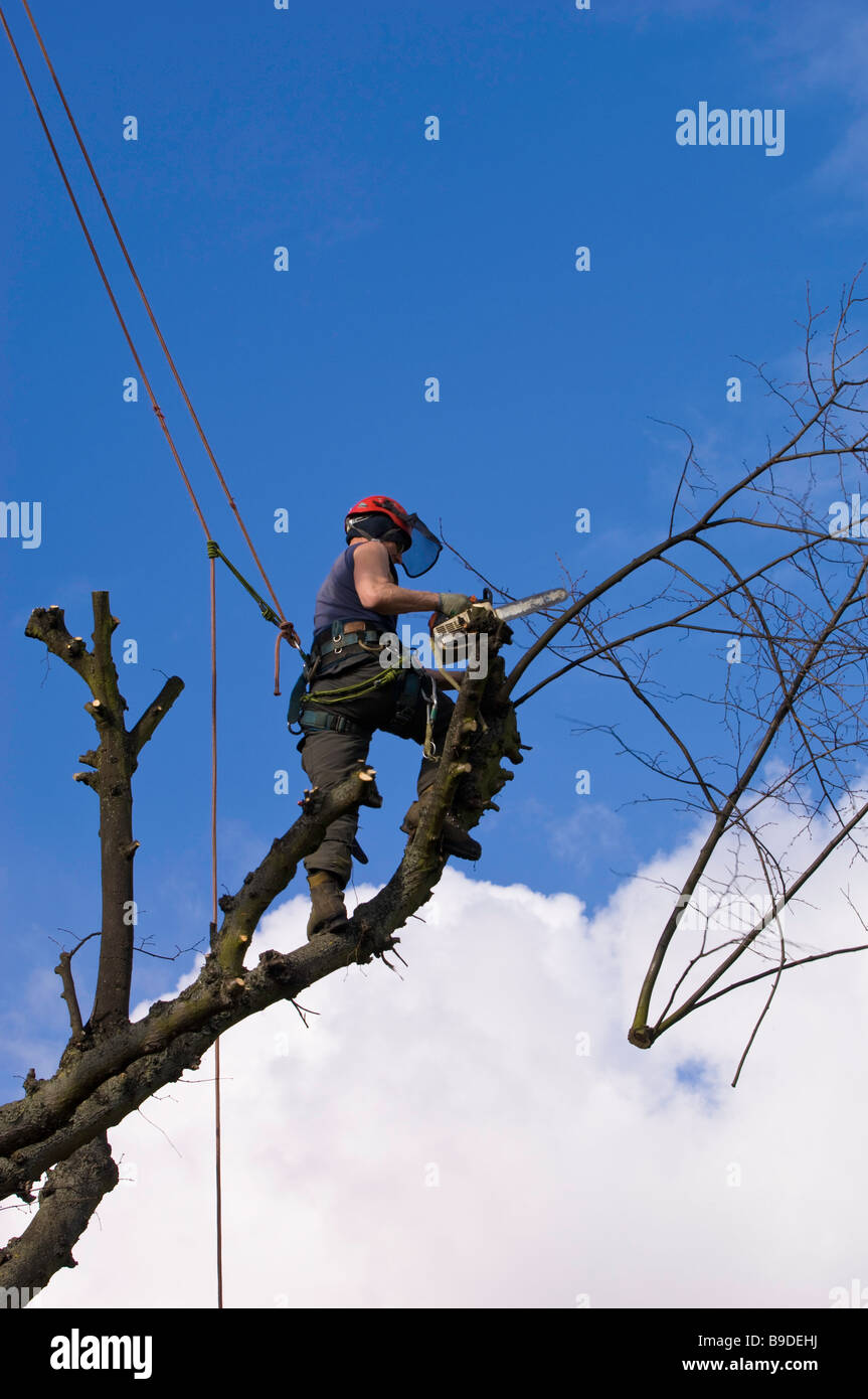 Ealing labour hi-res stock photography and images - Alamy