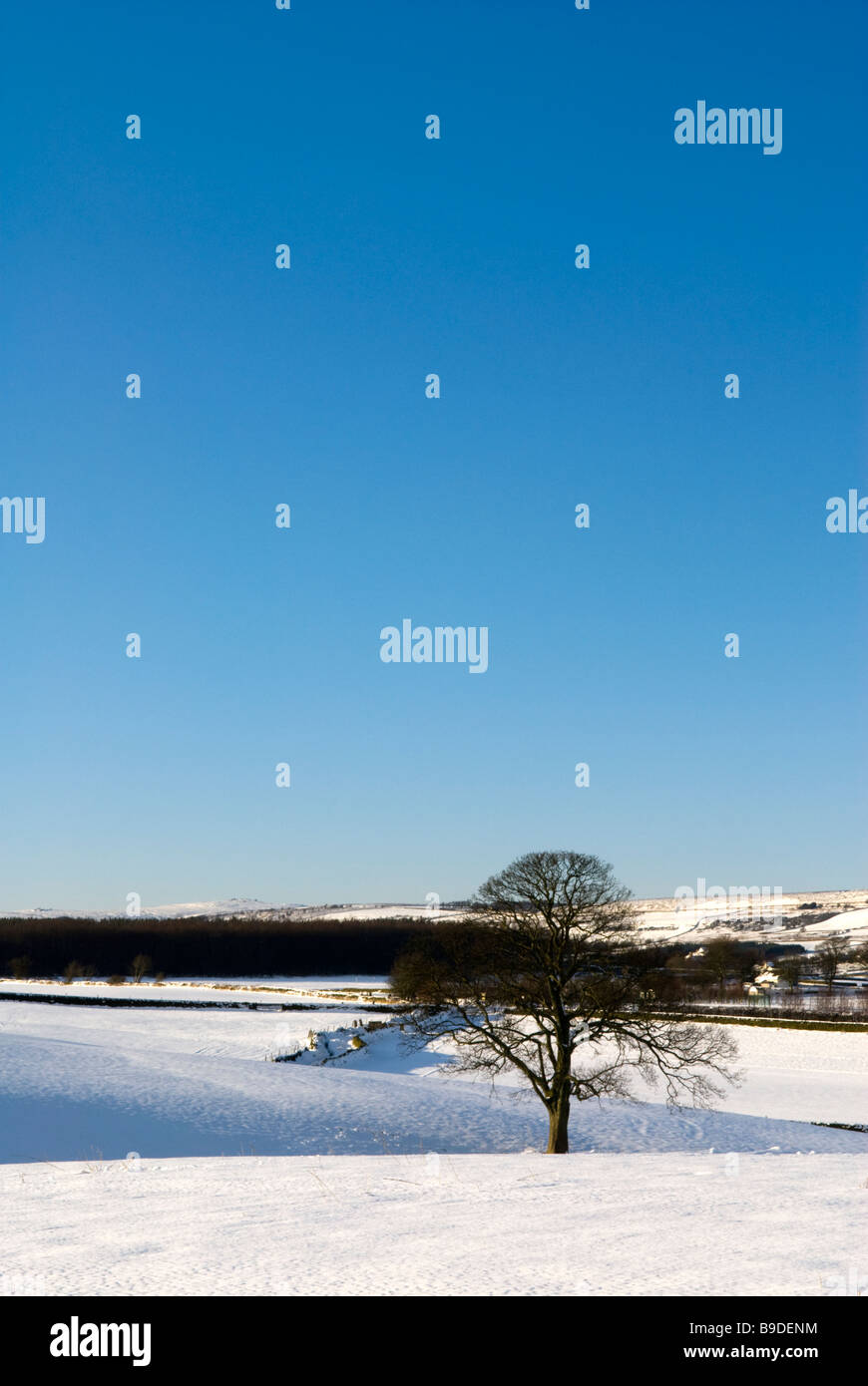 Mayfield Valley High Resolution Stock Photography and Images - Alamy