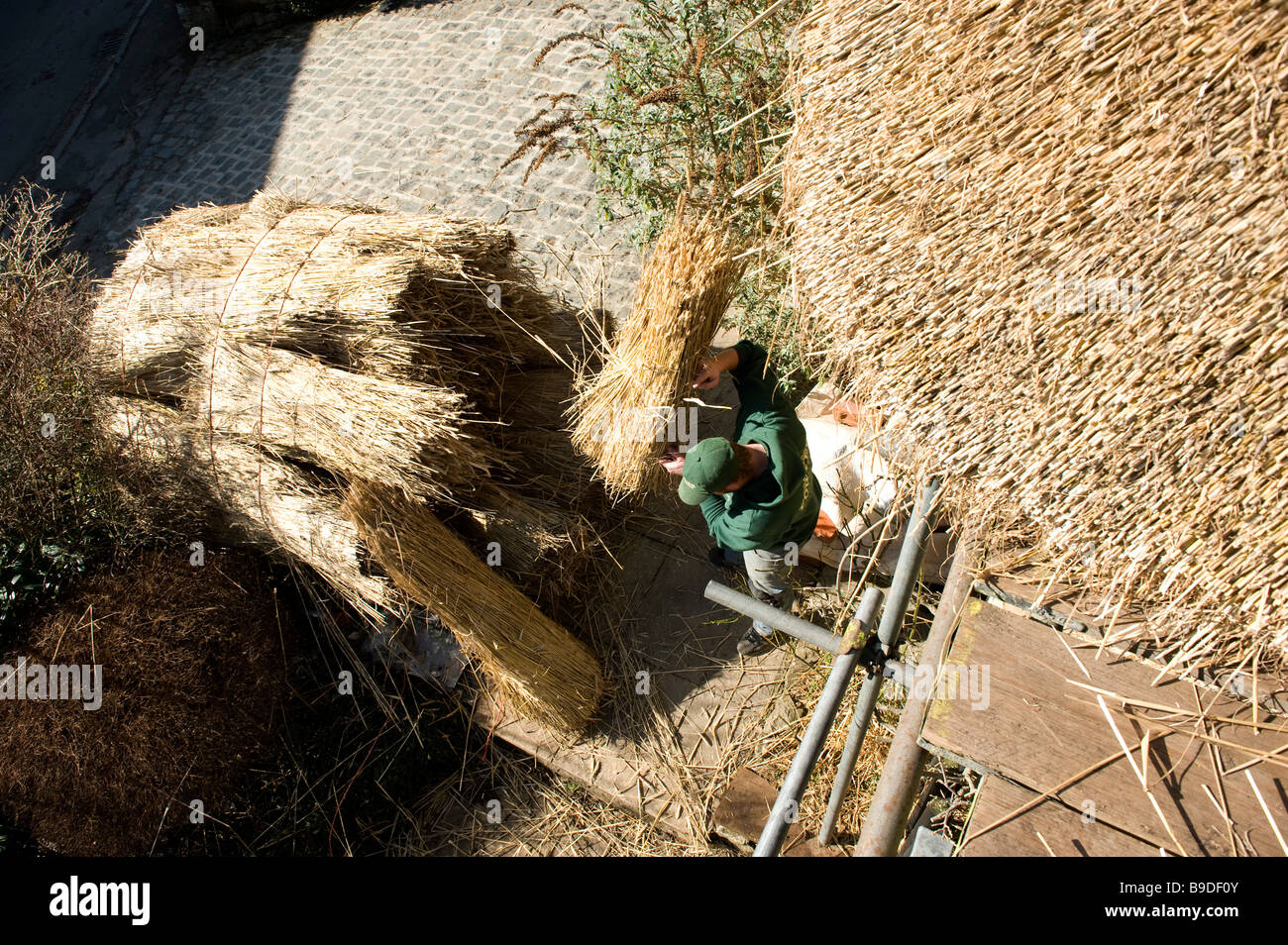 Reed thatch on a roof hi-res stock photography and images - Alamy