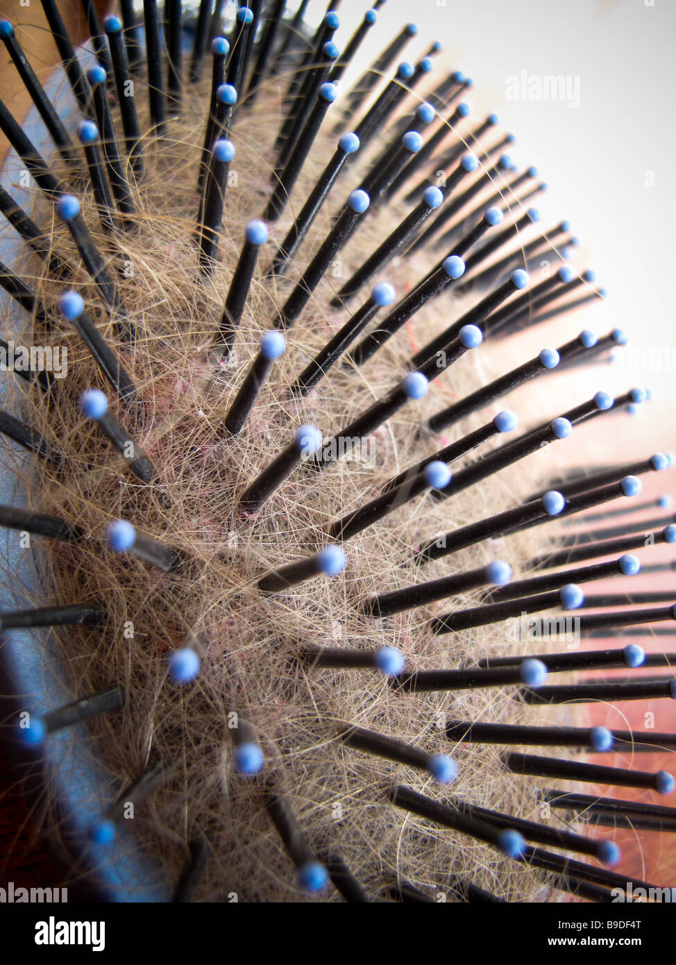 Clumps of hair hi-res stock photography and images - Alamy