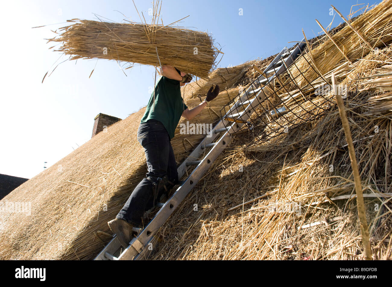 Waterproofing roof hi-res stock photography and images - Alamy