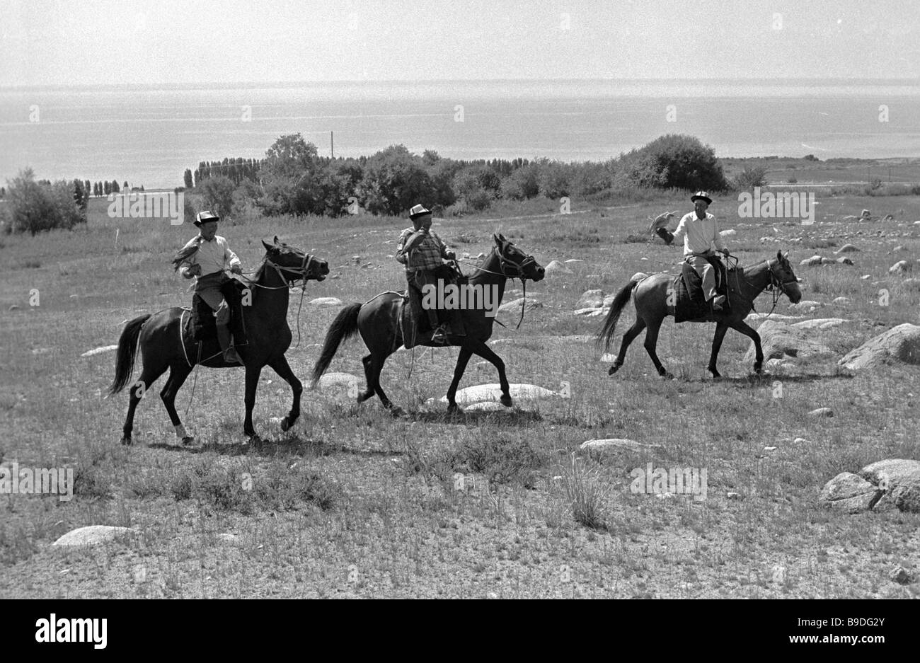 Getting ready for hunt with falcons Stock Photo - Alamy