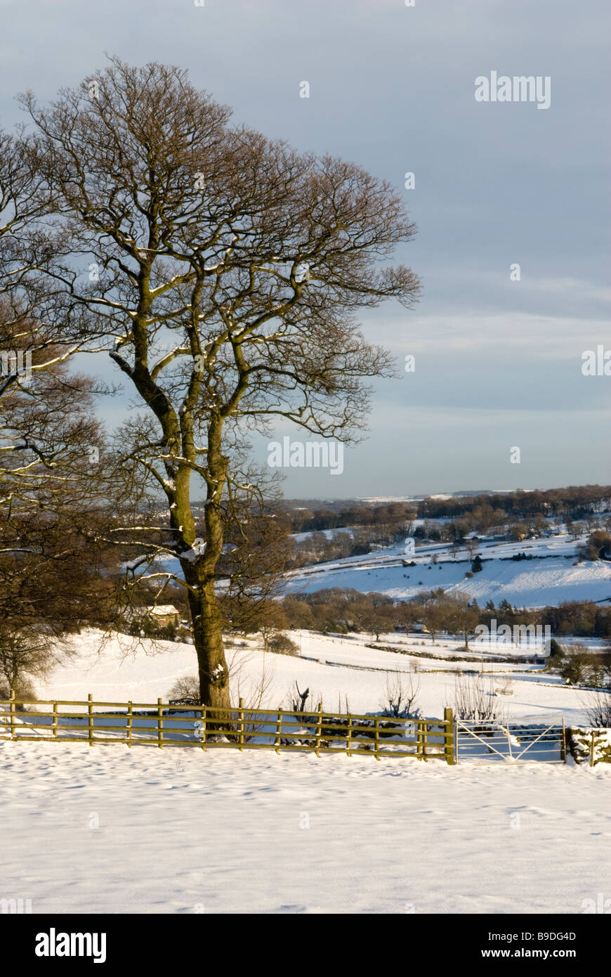Mayfield valley hi-res stock photography and images - Alamy