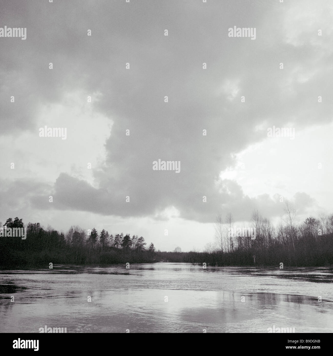 Zhizhitskoe Lake near Karevo village where great Russian composer ...