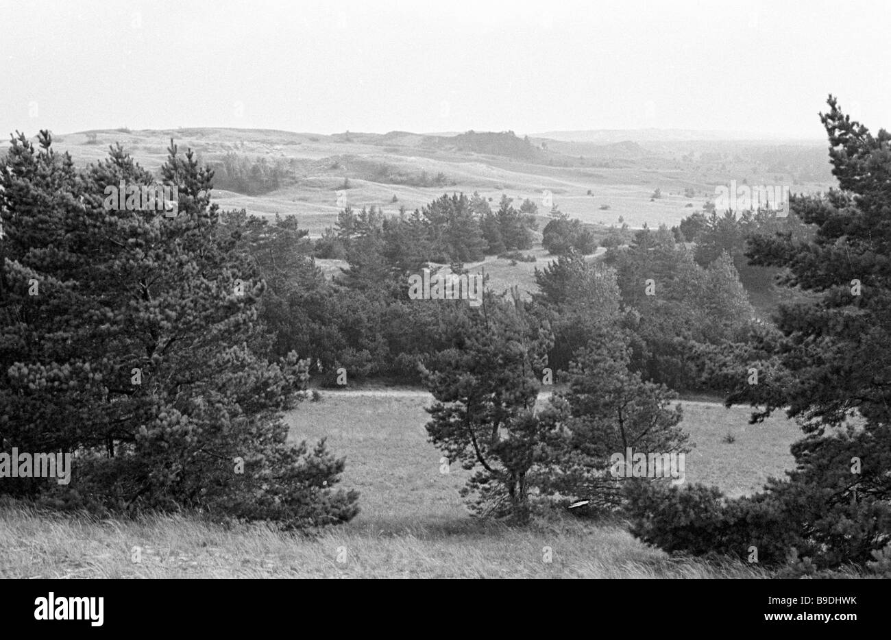 The Curonian Spit Stock Photo - Alamy