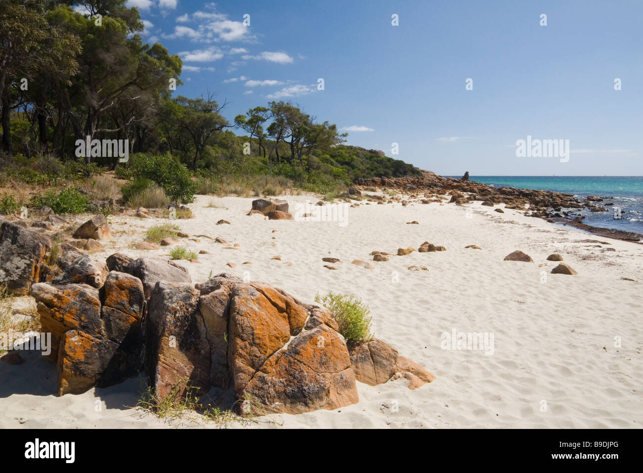 Australian beach and native bush scene near Dunsborough, Western ...
