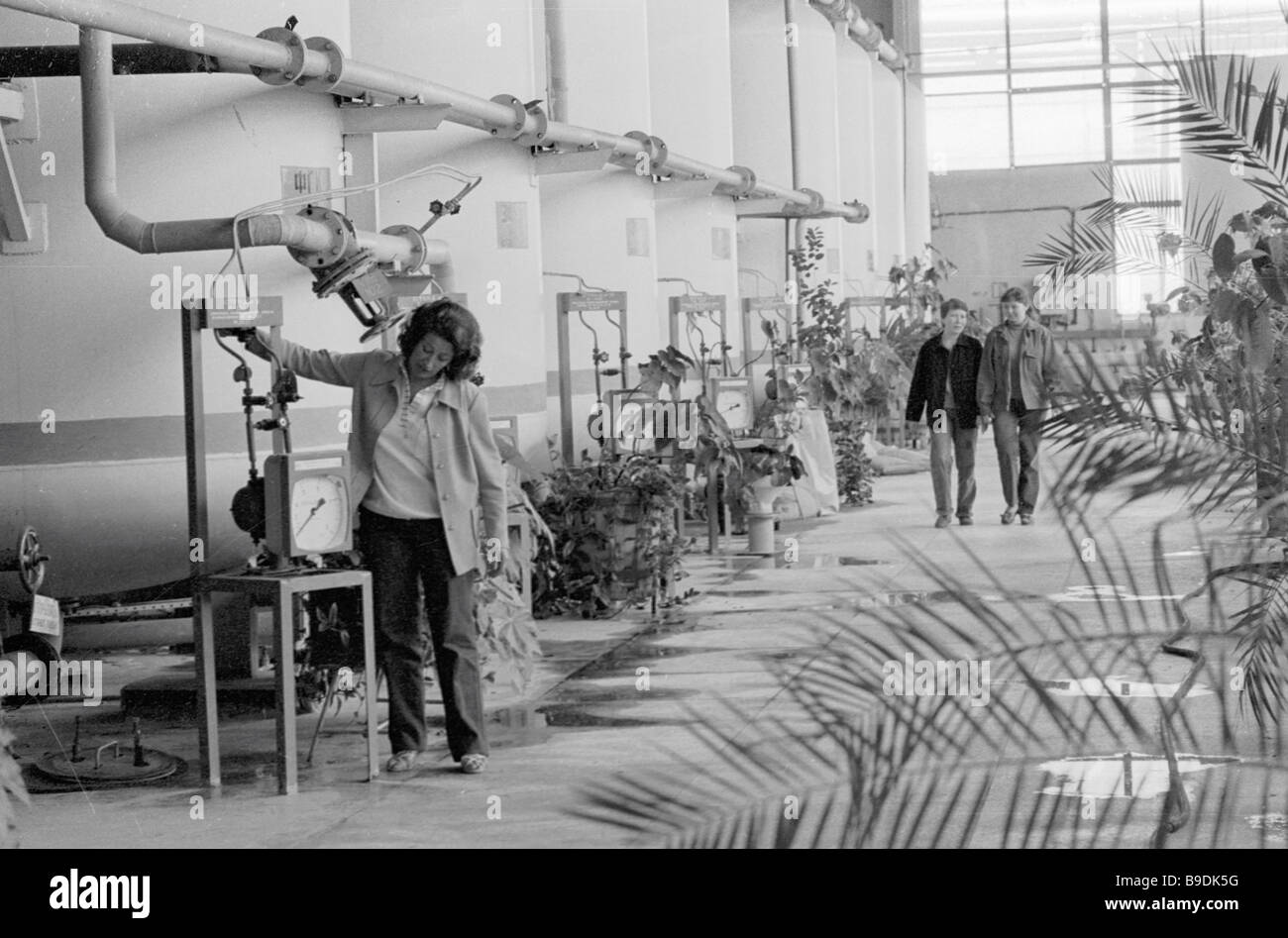 The reactor cooling procedure at the Chernobyl nuclear power plant ...