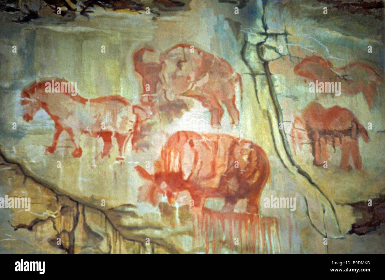 Cave painting of the Palaeolithic times in the Shulgan Tash cave in ...