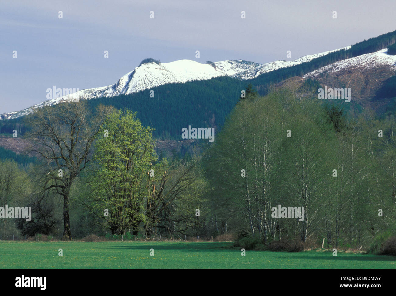 Skagit river rasar state park hi-res stock photography and images - Alamy