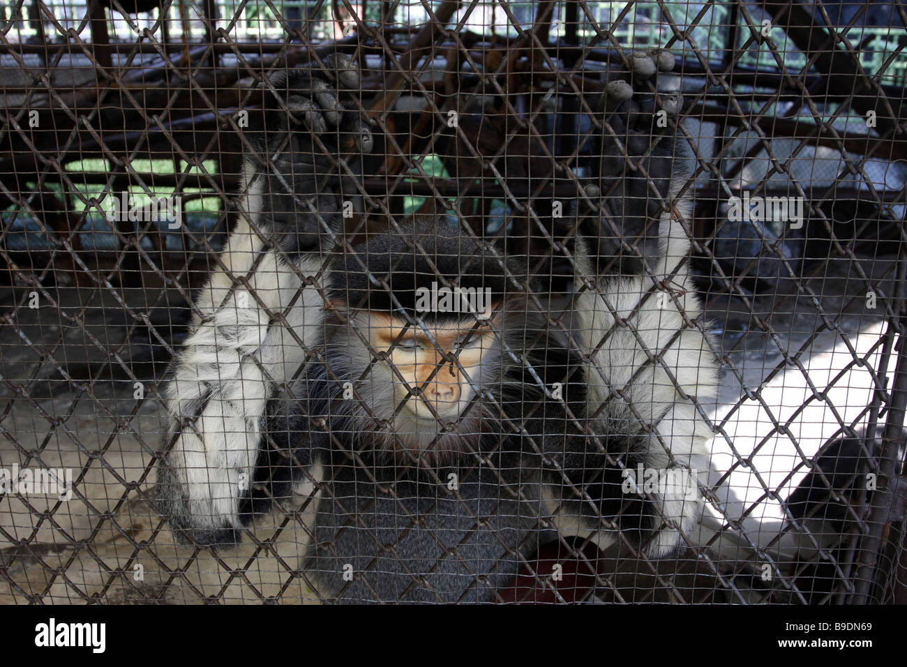 Caged prisoner hi-res stock photography and images - Alamy