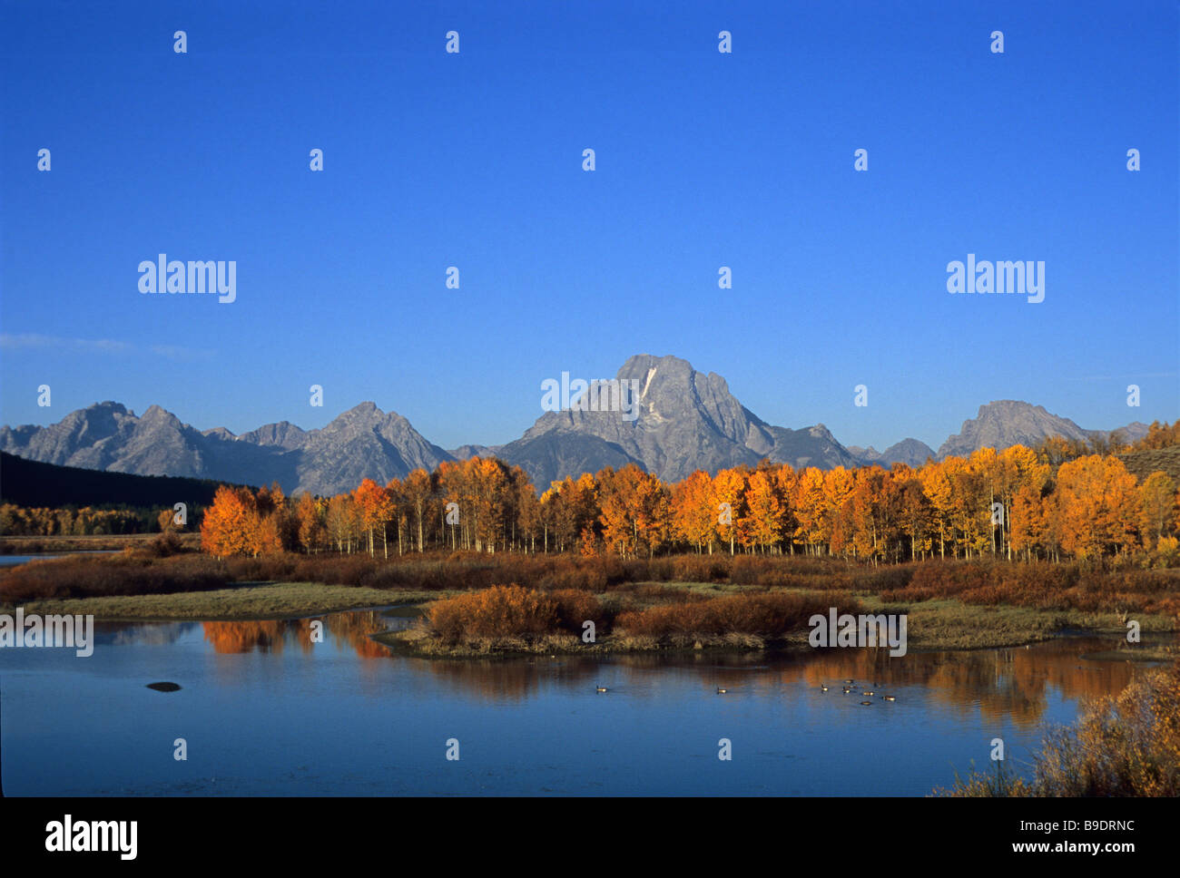 Fall foliage in wyoming hi-res stock photography and images - Alamy