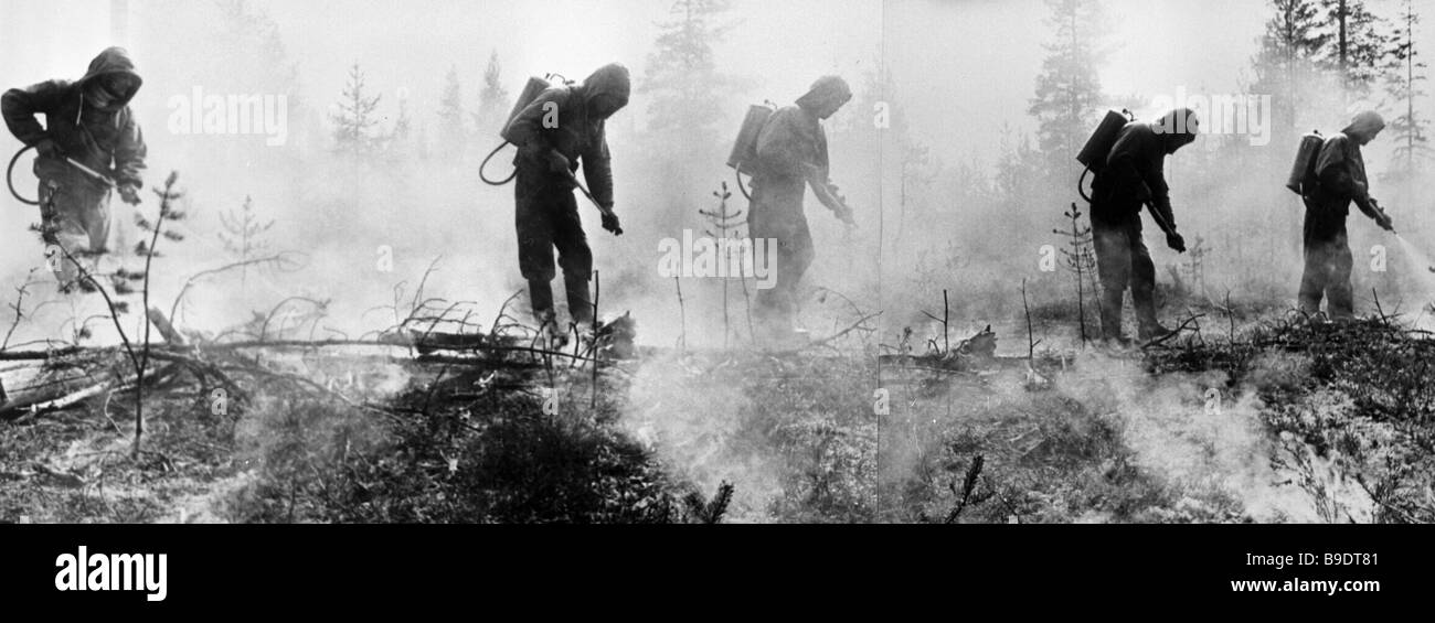 Firemen fight a forest fire Stock Photo - Alamy