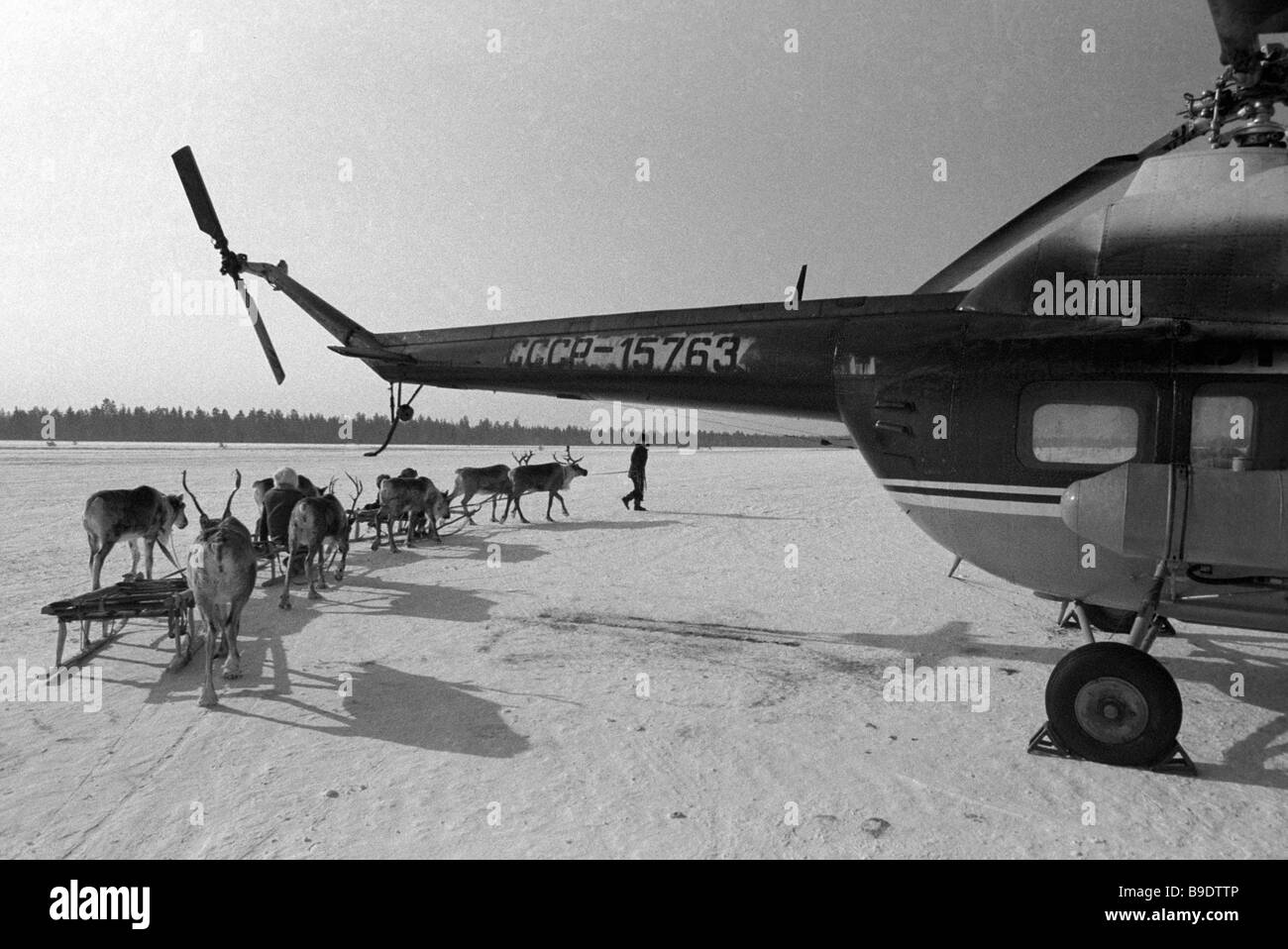 Reindeer sledges at a modern helicopter Stock Photo - Alamy