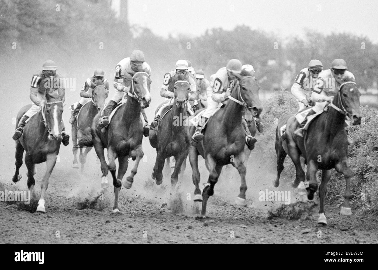 Horse race at the Rostov on Don Race Track Stock Photo - Alamy