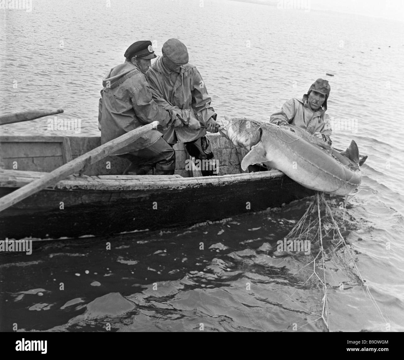 Fishermen from the Scientific Fishing Research Institute labeling great ...