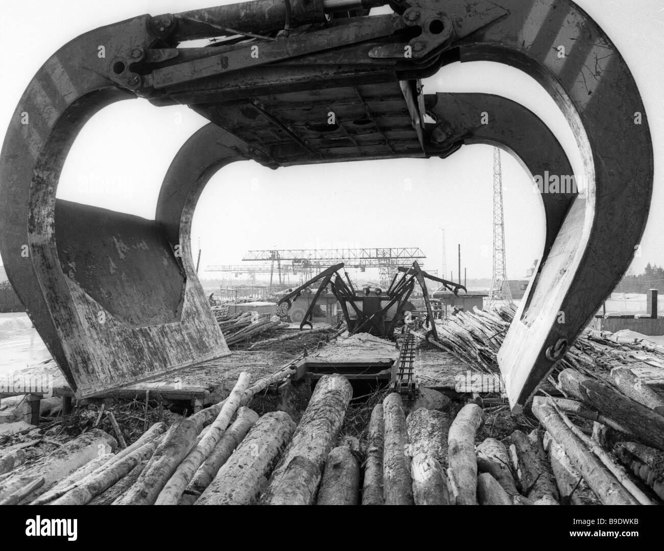 Mechanized log transportation at the Yasnog timber enterprise Stock ...