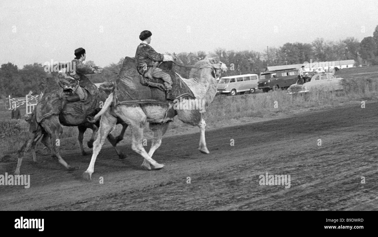 Camel races during a shepherd festival Stock Photo - Alamy