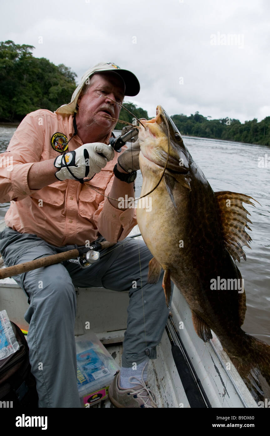 An angler admires a giant world record Jundia catfish caught from a ...