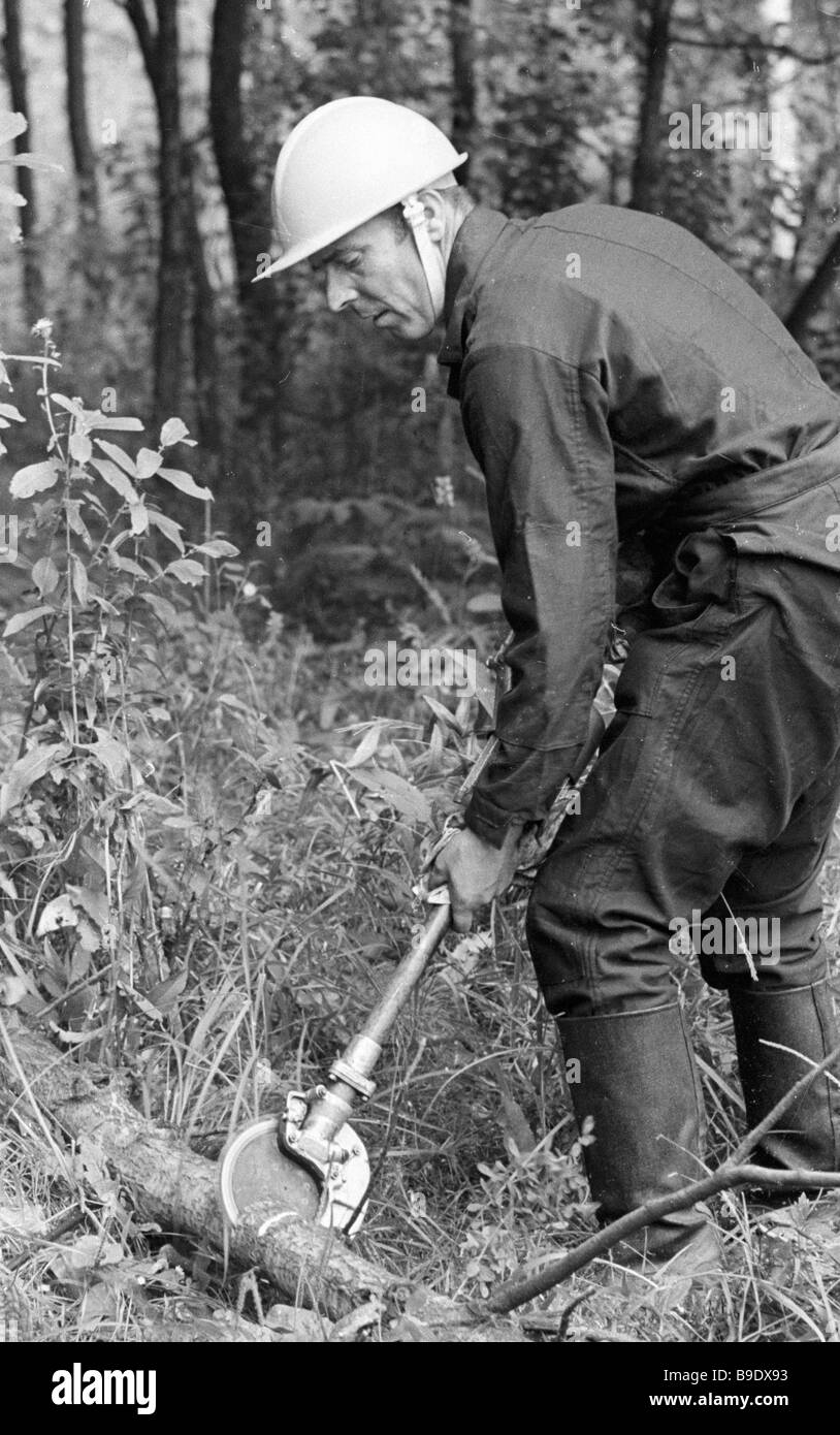 A forest warden cleaning a forest Stock Photo - Alamy