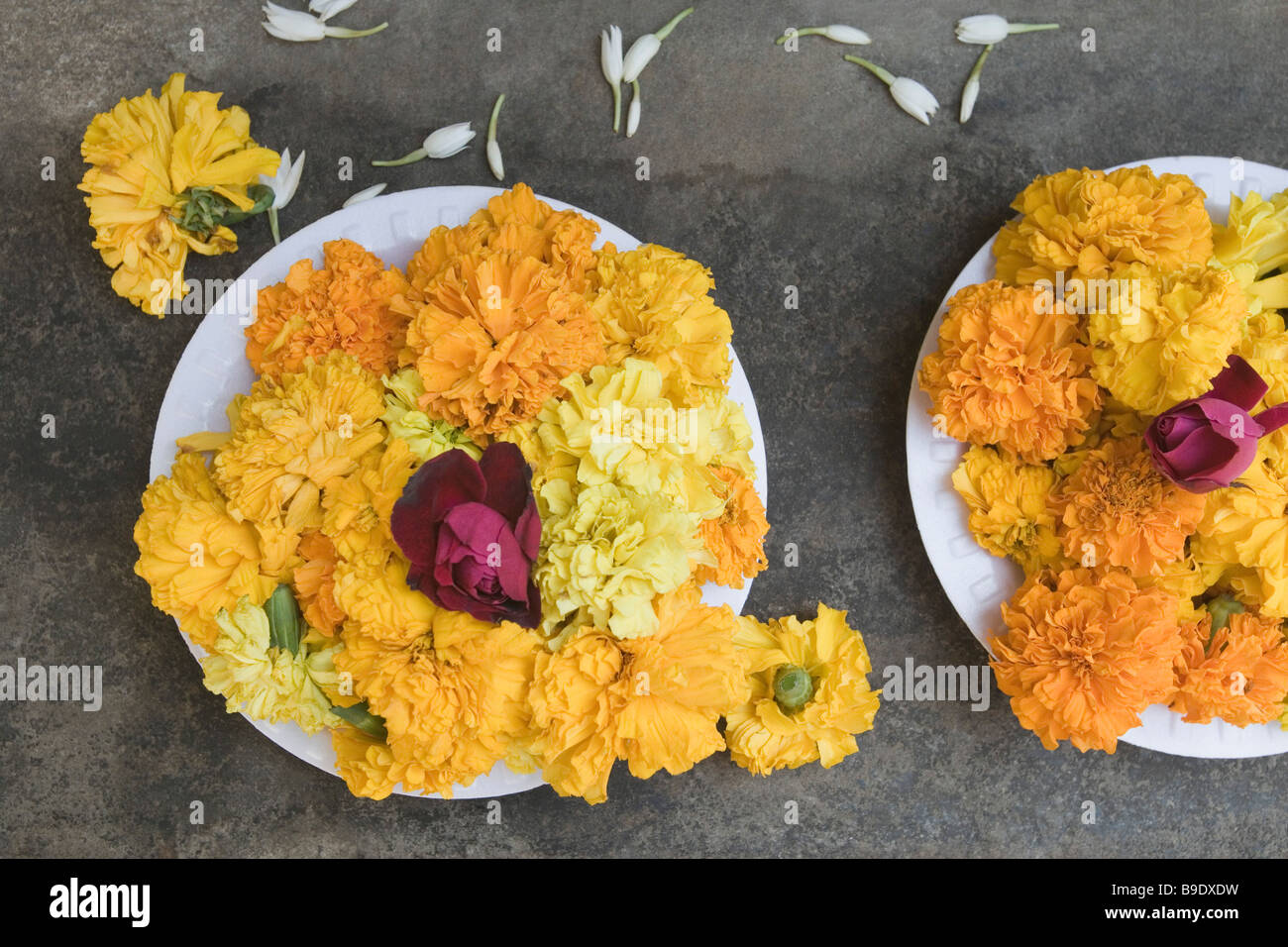 Close-up of flowers in plates for offerings, Mahabodhi Temple, Bodhgaya ...