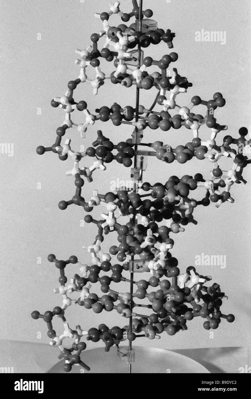 Model of the DNA molecule Molecular Biology Institute Stock Photo - Alamy