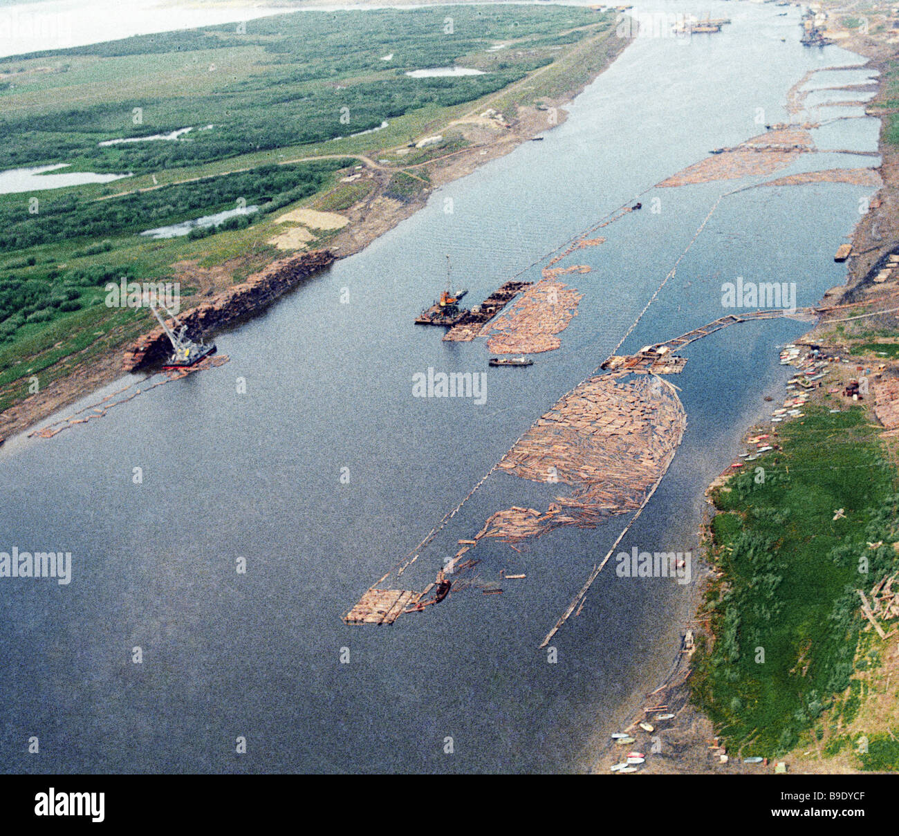 Timber rafting on the Yenisei River Stock Photo - Alamy